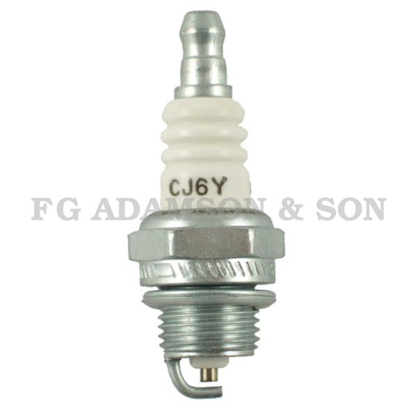 Champion Spark Plug - CJ6Y | Ripon Family